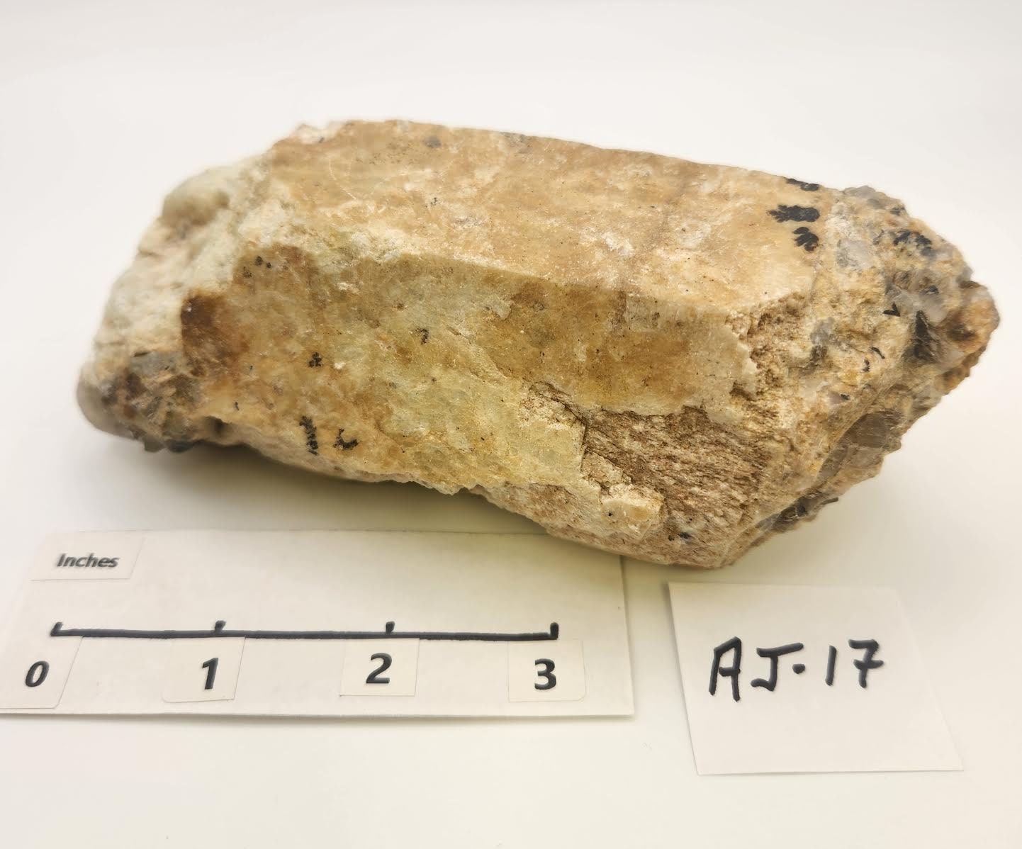 South Dakota Specimen of a Beryl Crystal - Etsy