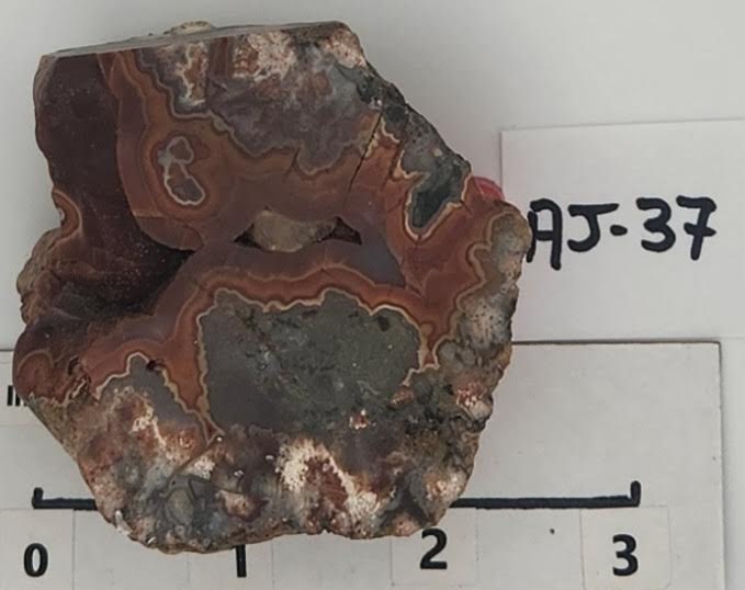 Tennessee Paint Rock Agate, From the Collection of “big Al” Johnson - Etsy