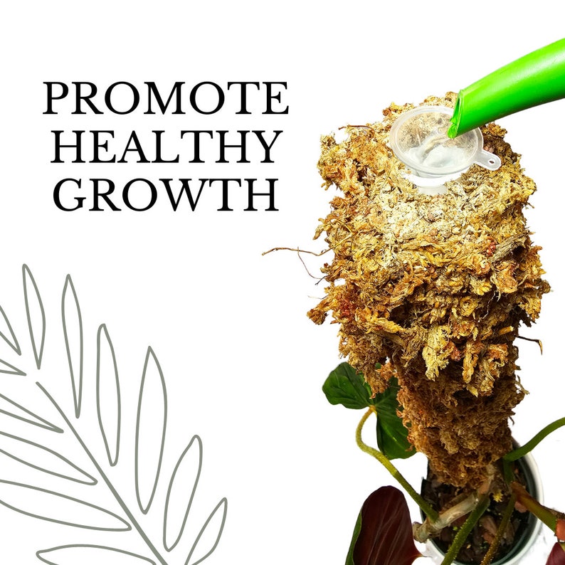 20 Self Watering Moss Pole Plug and Go System No Repotting Needed ...