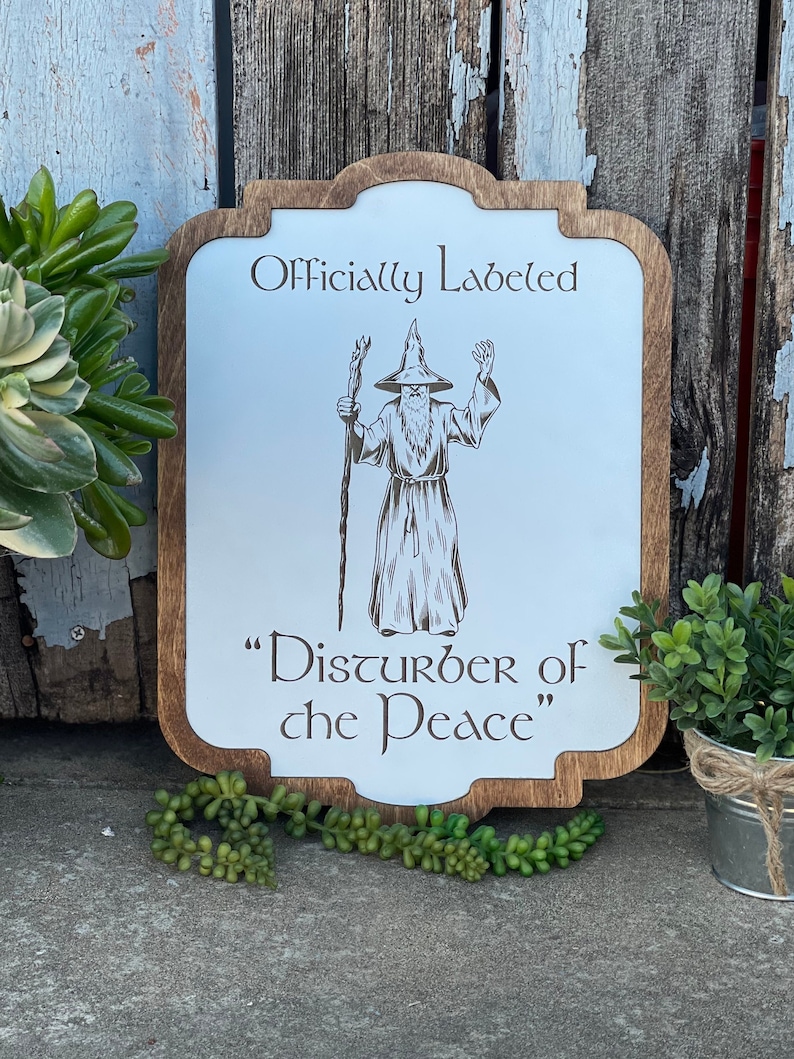 Officially Labeled "disturber of the Peace" Fantasy Wizard Sign - Ring ...