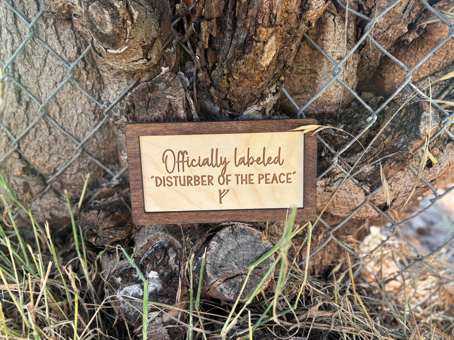 Officially Labeled “disturber of the Peace” F Wood Engraved Sign ...