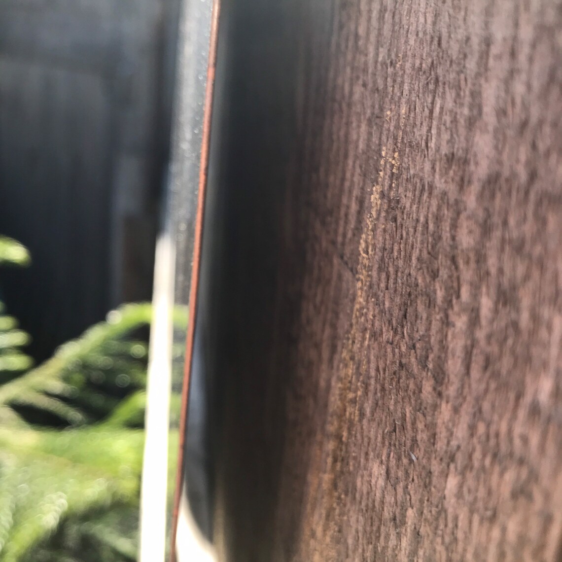 Funny Sign Funny Signs Welcome Signs Welcome to the Nut House - Etsy