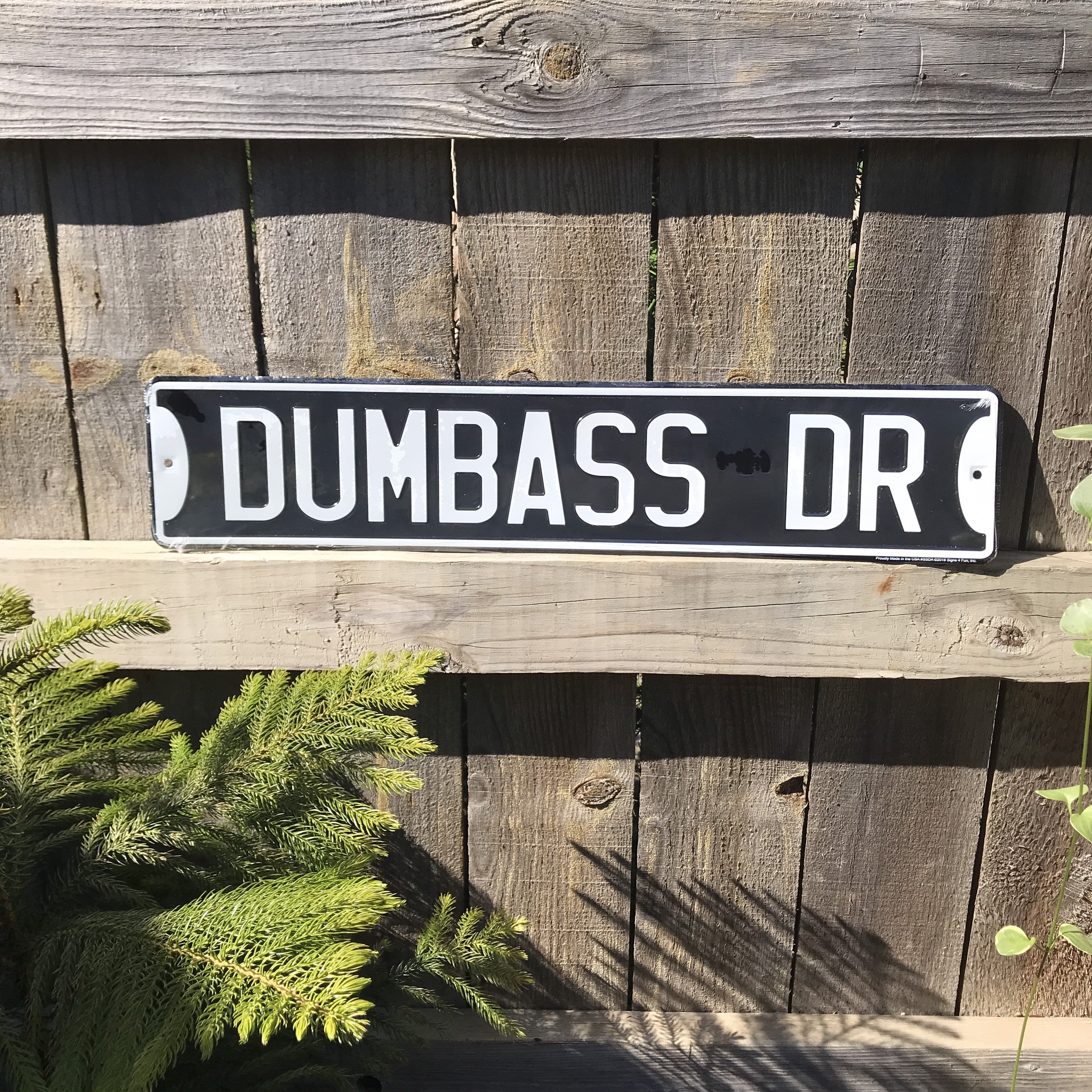 Funny Signs Garage Signs for Him Dumbass Drive Sign Funny Sign Man Cave ...