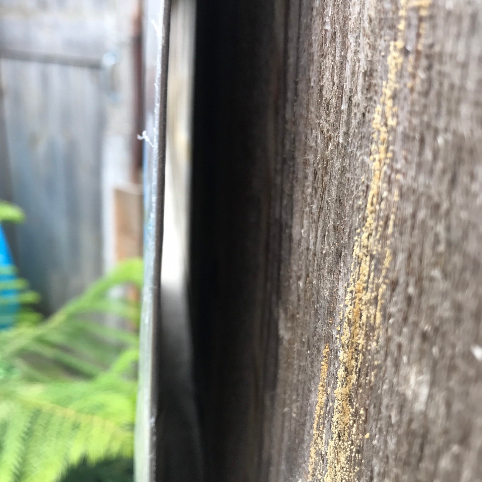 Licensed Remington Guns Sign Remington Signs Gun Sign Gun Signs Duck ...