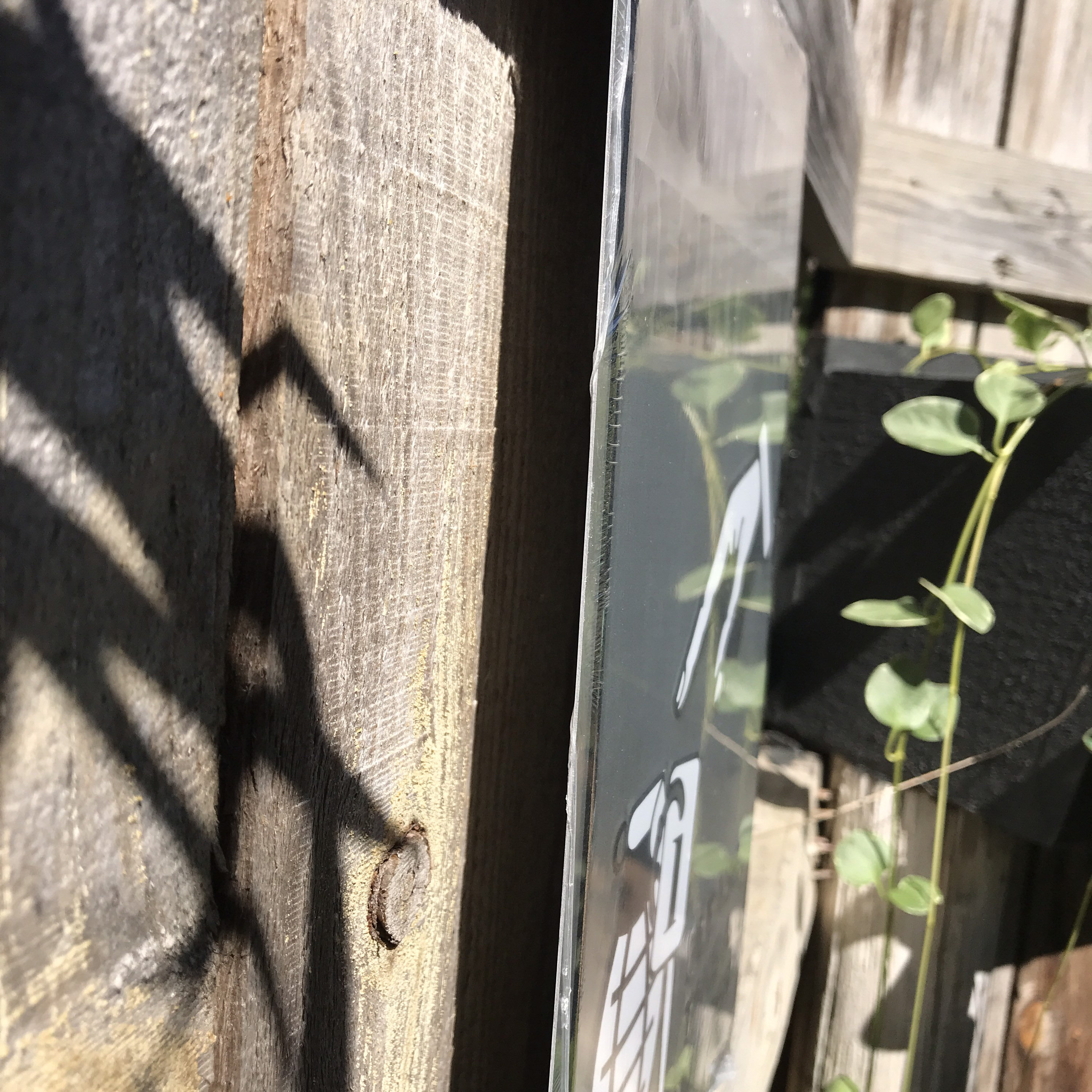 Funny Signs Funny Gifts Gag Gifts for Coworkers White Elephant - Etsy