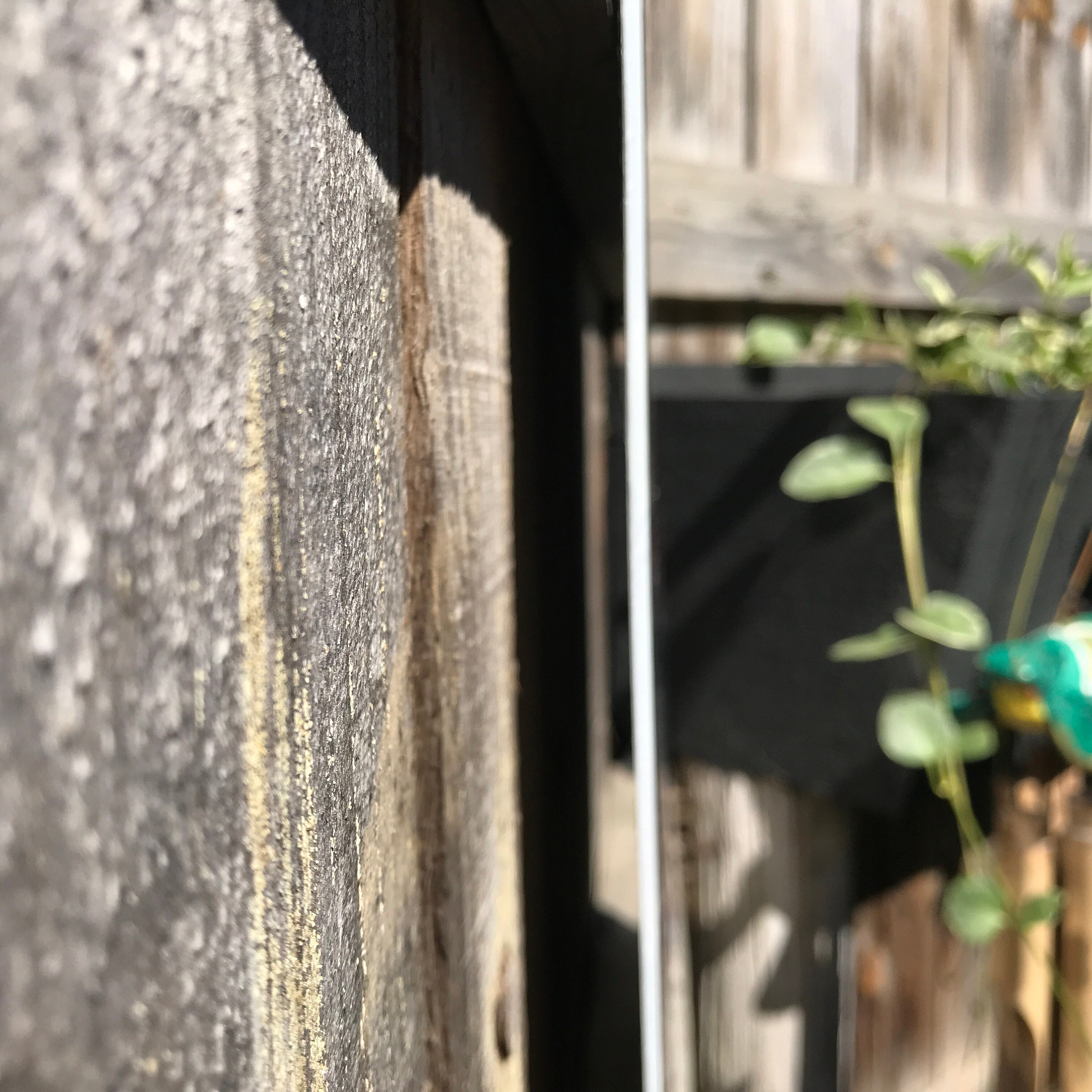 Licensed Ford Sign Ford Signs Ford Mustang Sign Ford Mustang Signs ...