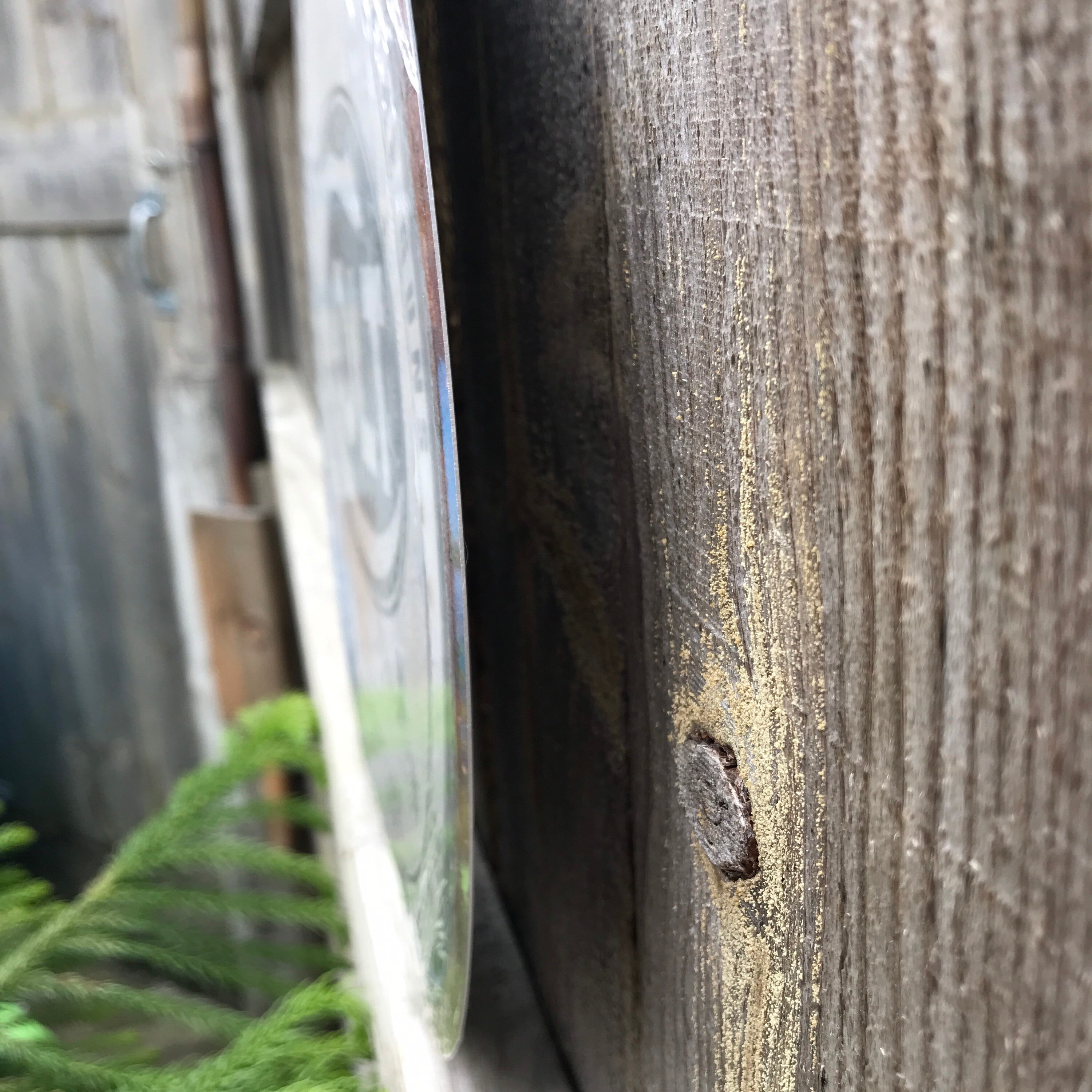 12" Licensed Colt Sign Colt Signs Gun Sign Gun Signs Cabin Signs Gifts ...