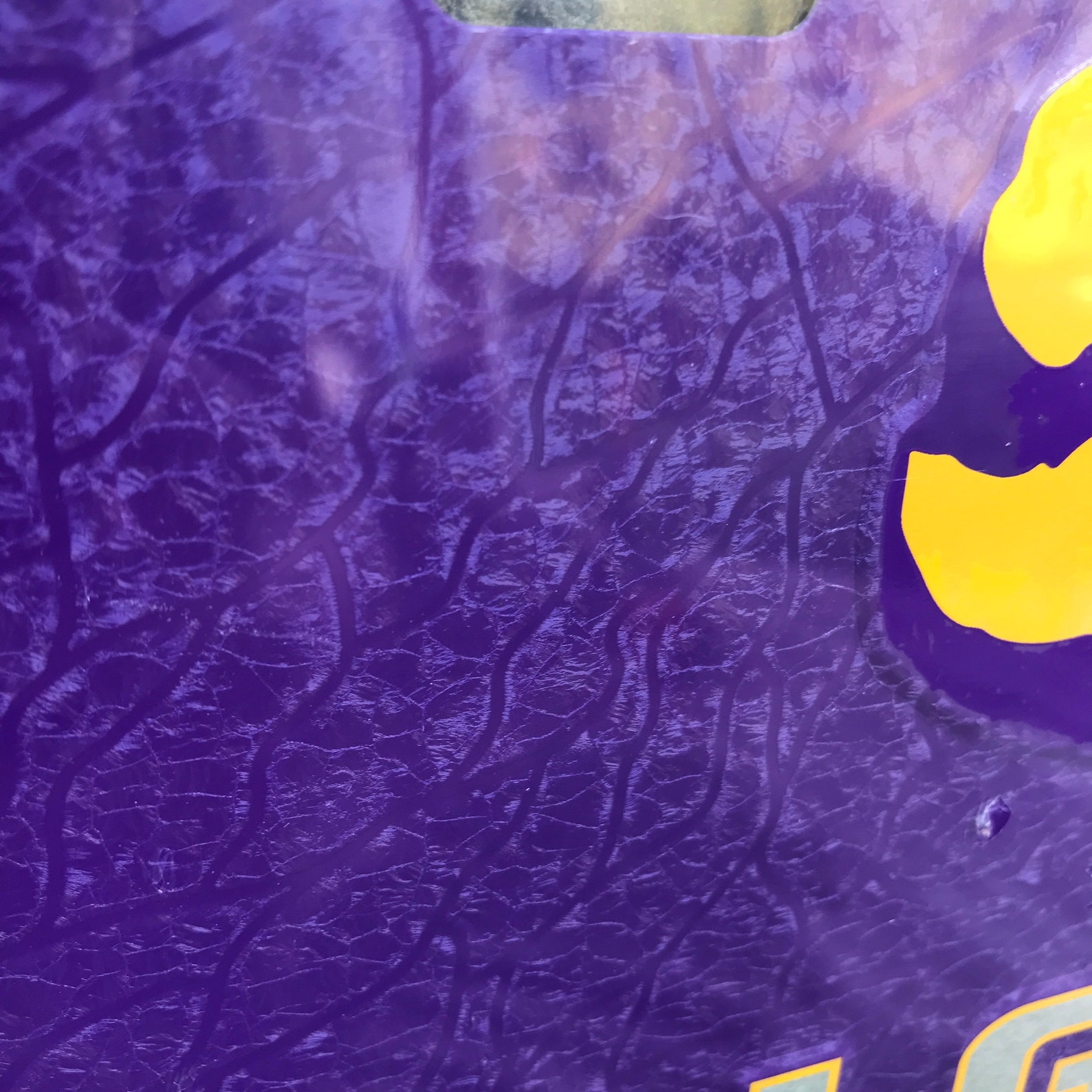 LSU Tigers Sign Louisiana State Tigers Signs Fighting Tigers Dorm Signs ...