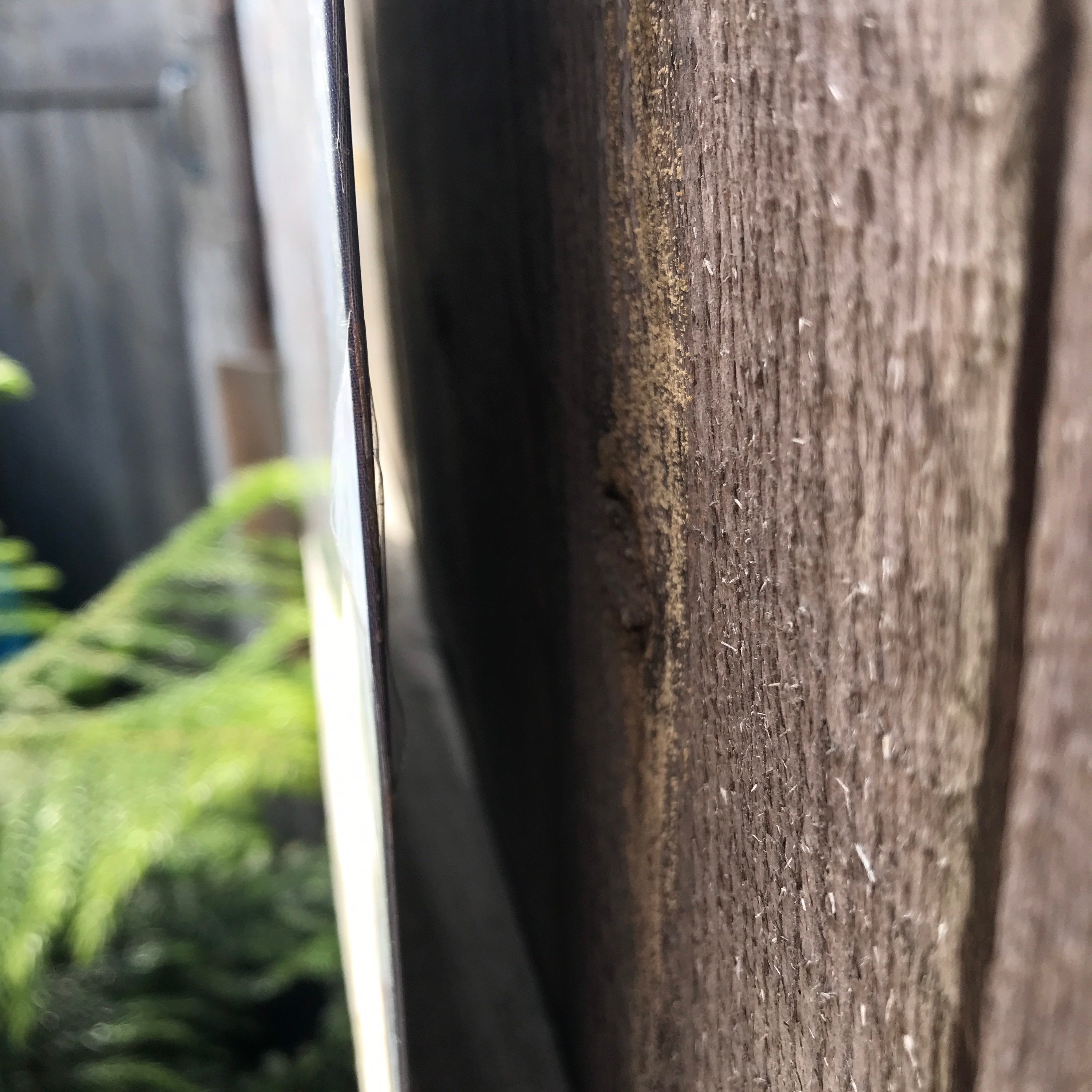 Licensed Pepsi Sign Pepsi Cola Signs Bar Sign Bar Signs Soda - Etsy