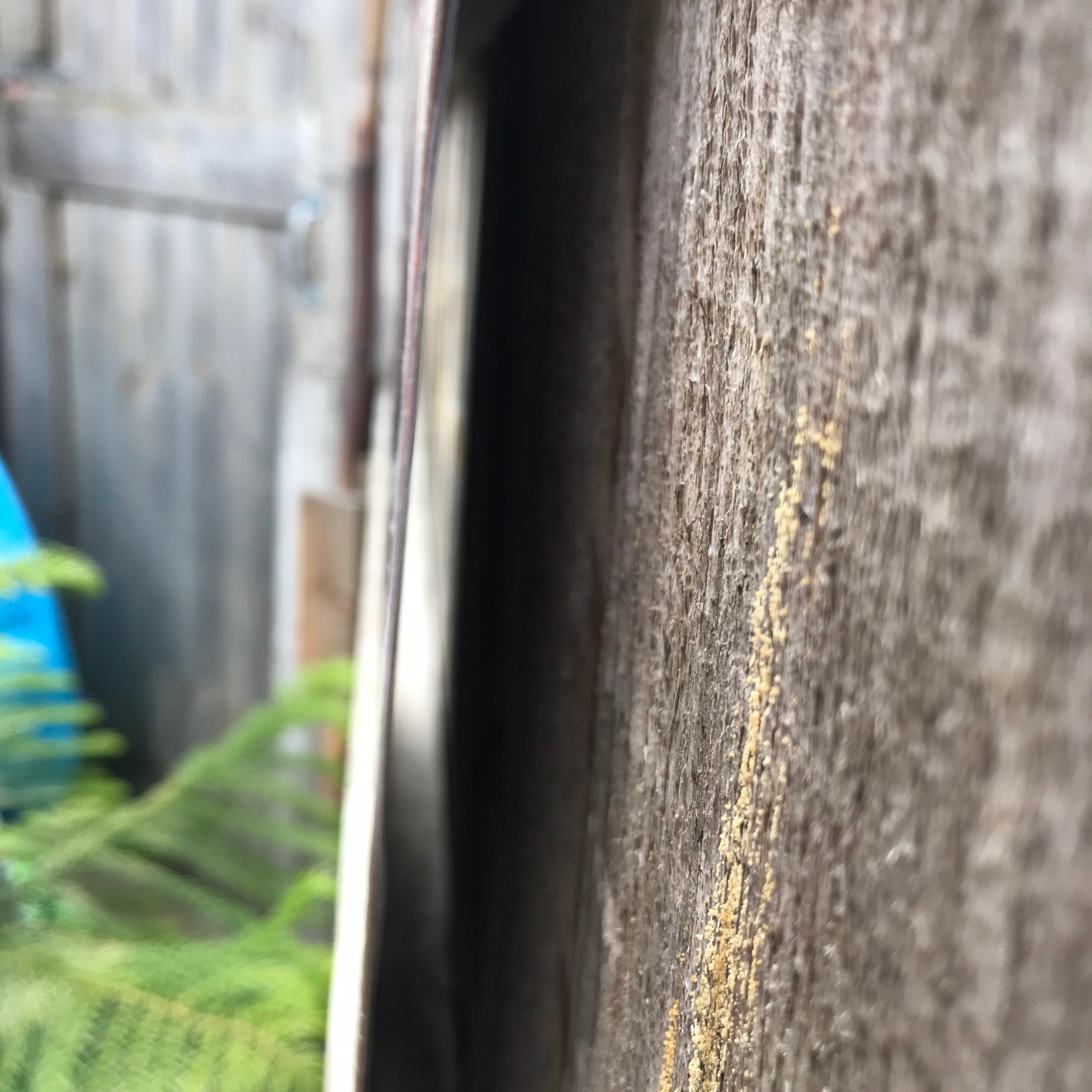 Licensed Coca Cola Sign Coca Cola Signs Coke Signs Bar Sign Bar Signs ...