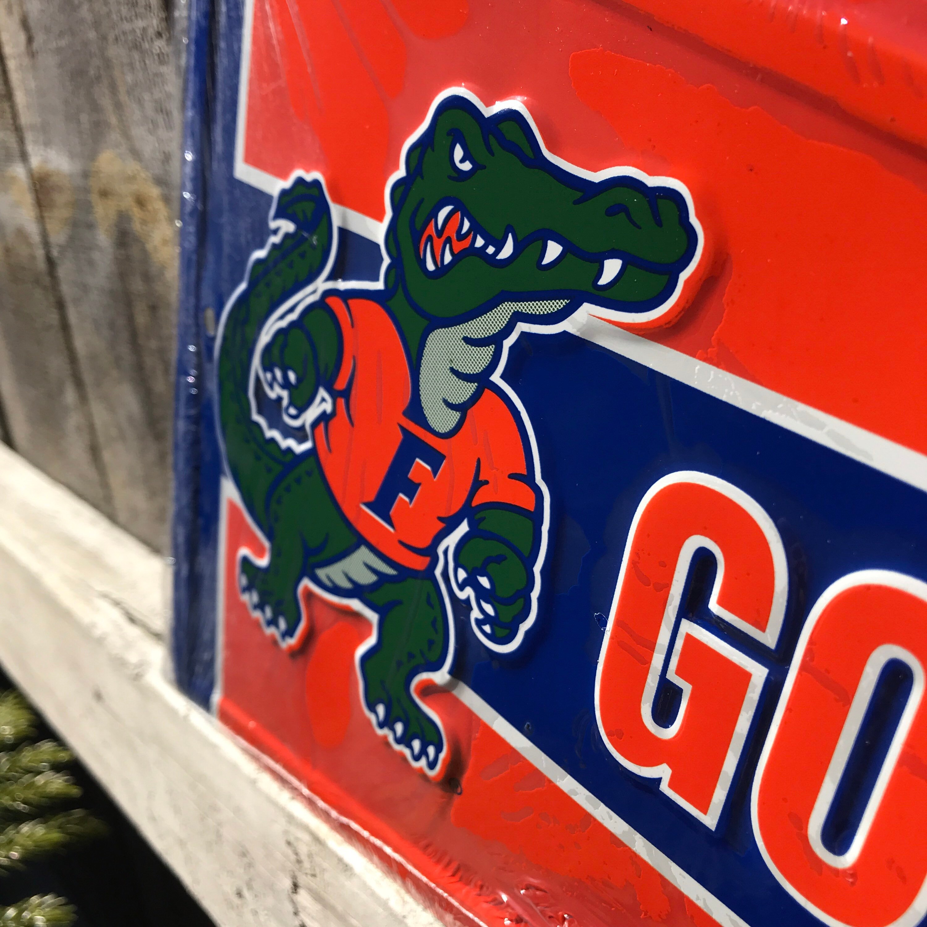 Florida Gators Sign University of Florida Gators Pennant Signs College ...