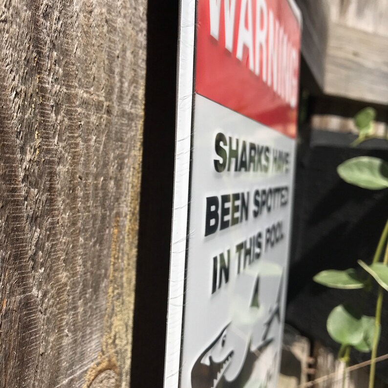 Pool Signs Swimming Pool Signs Shark Sign Shark Signs Funny Signs ...