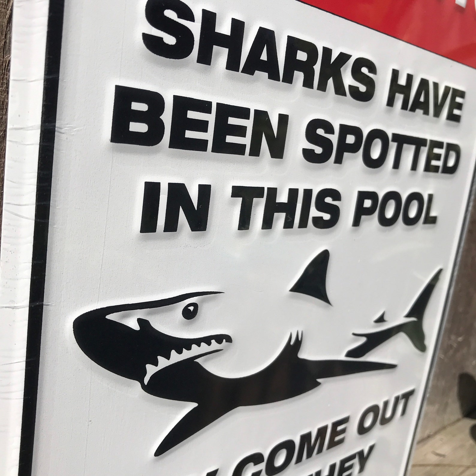 Pool Signs Swimming Pool Signs Shark Sign Shark Signs Funny Signs ...