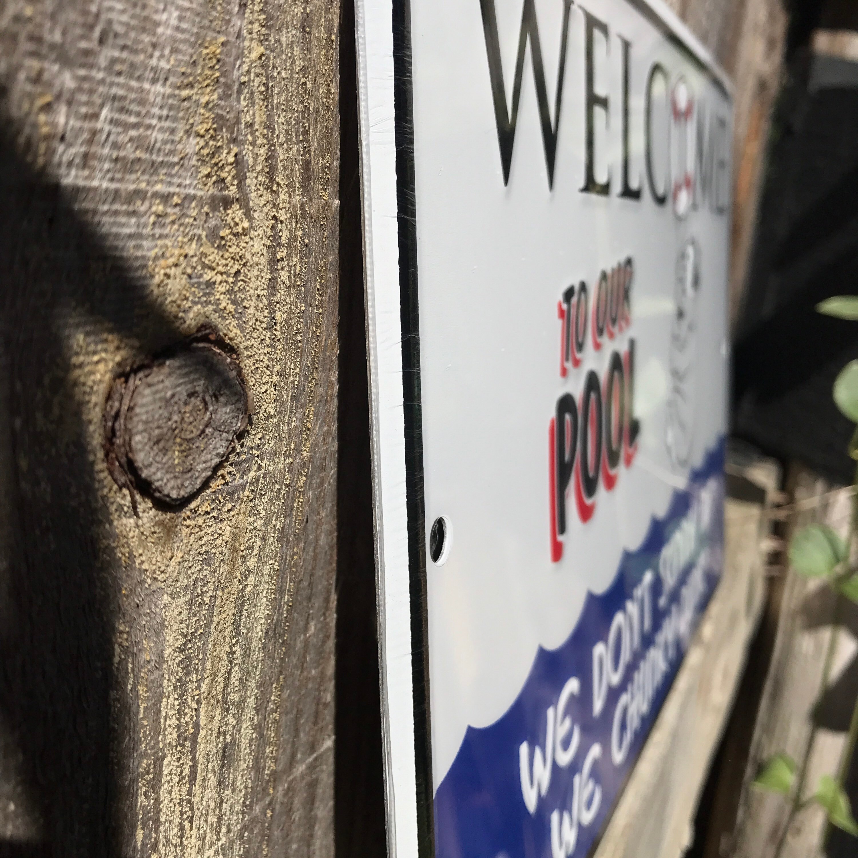 Pool Signs Swimming Pool Signs Skinny Dip Sign Chunky Dunk Signs Funny ...