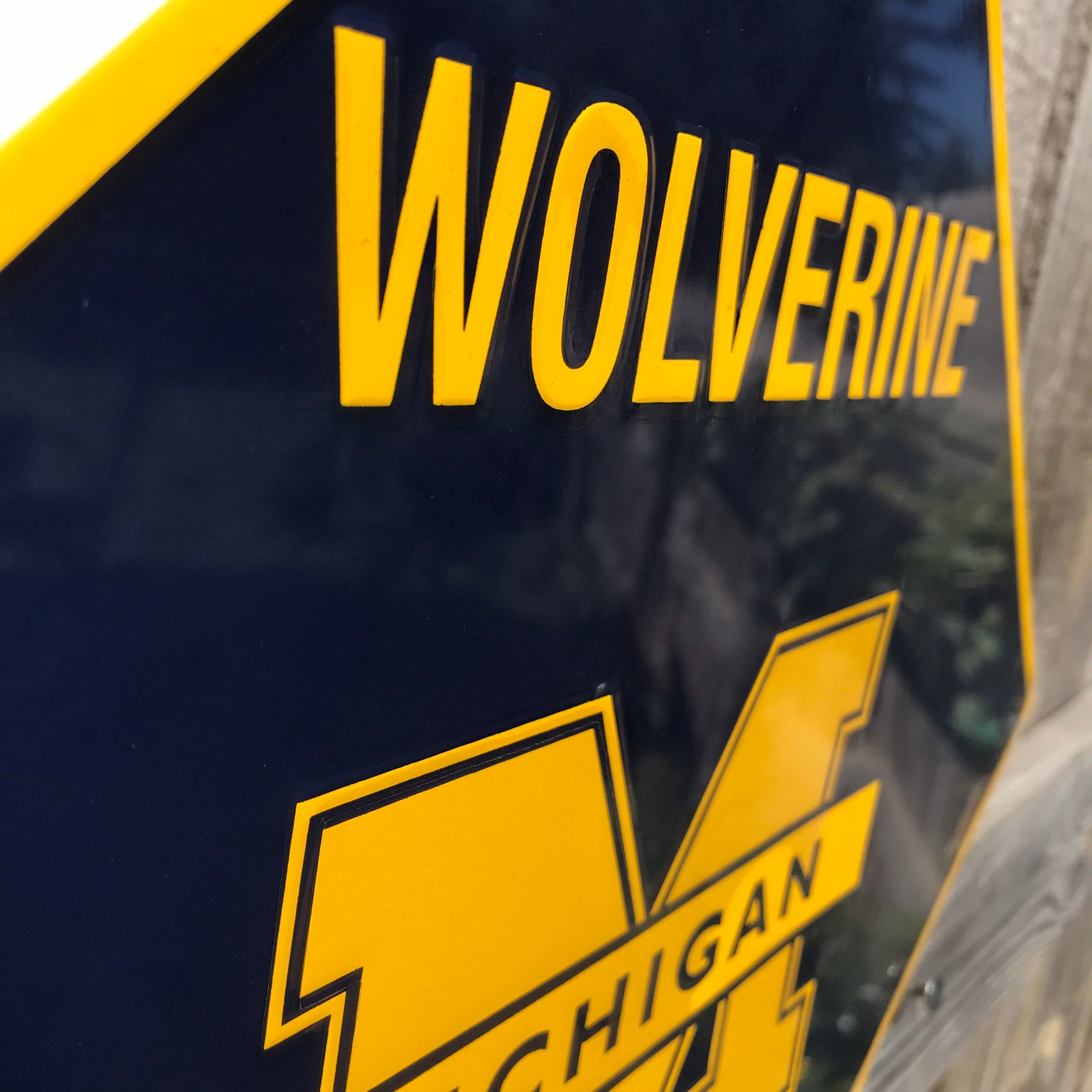 University of Michigan Wolverines Sign U of M Signs Uofm Wolverines ...