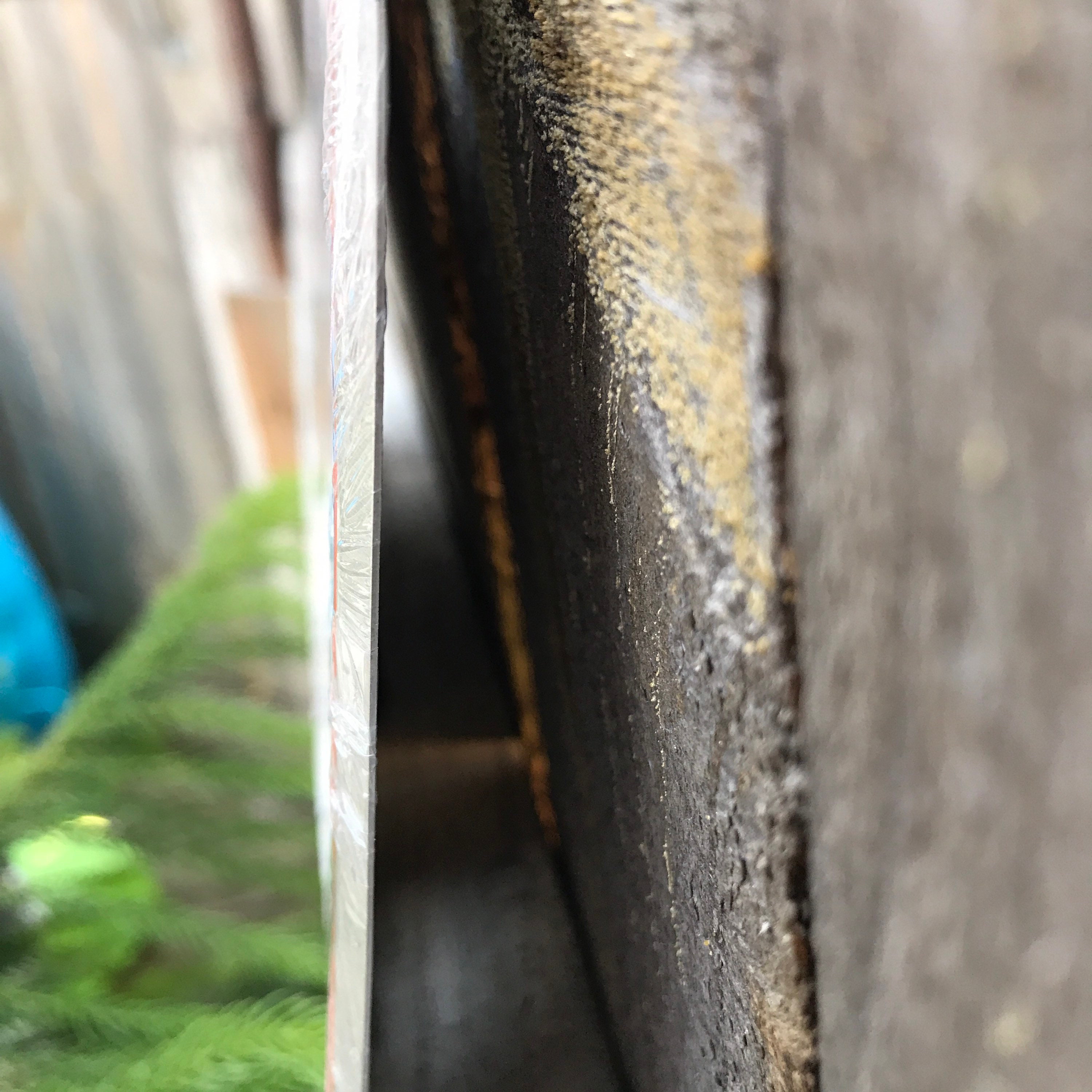 University of Miami Sign University Miami Hurricanes License - Etsy