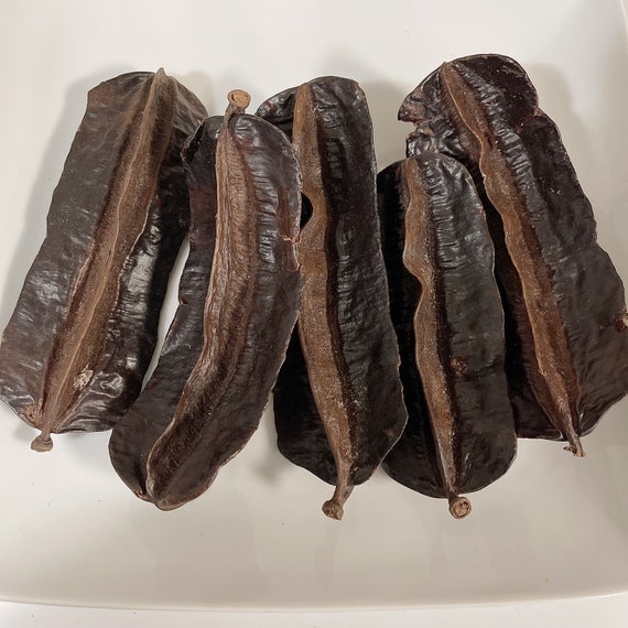 AIDIAN Fruit/prekese/tetrapleura Tetraptera/3 PODS | Etsy