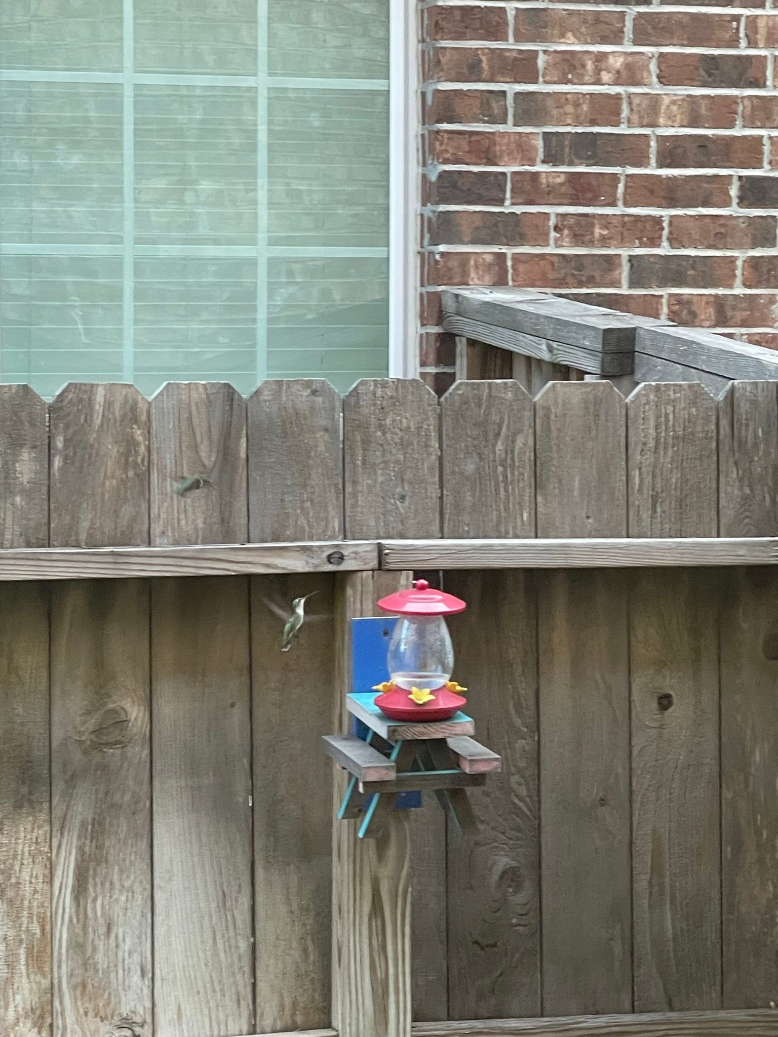 Squirrel Picnic Table - Etsy