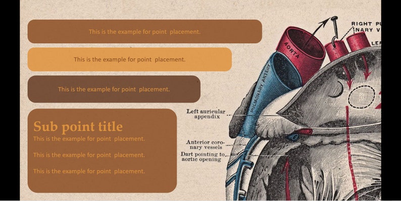 Powerpoint de anatomía del corazón Presentación creativa - Etsy México