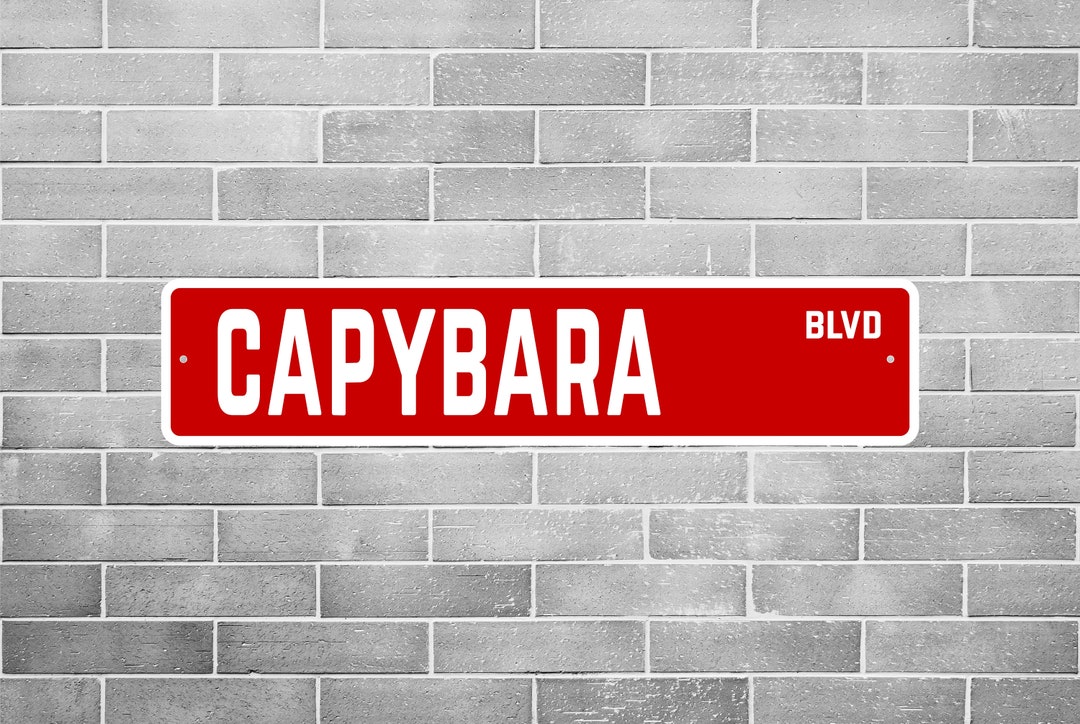 Capybara Sign/capybara Gift/capybara Lover/be Cappy/street - Etsy