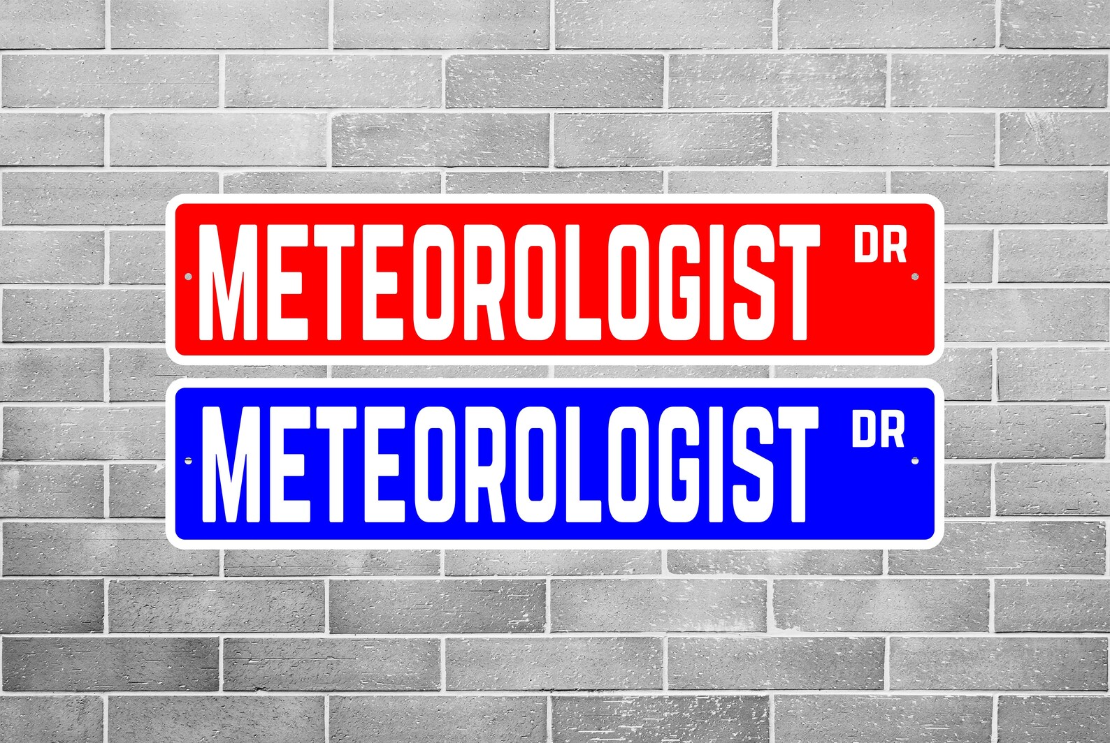 Meteorologist/meteorologist Sign/meteorologist Gift/custom Street Sign ...