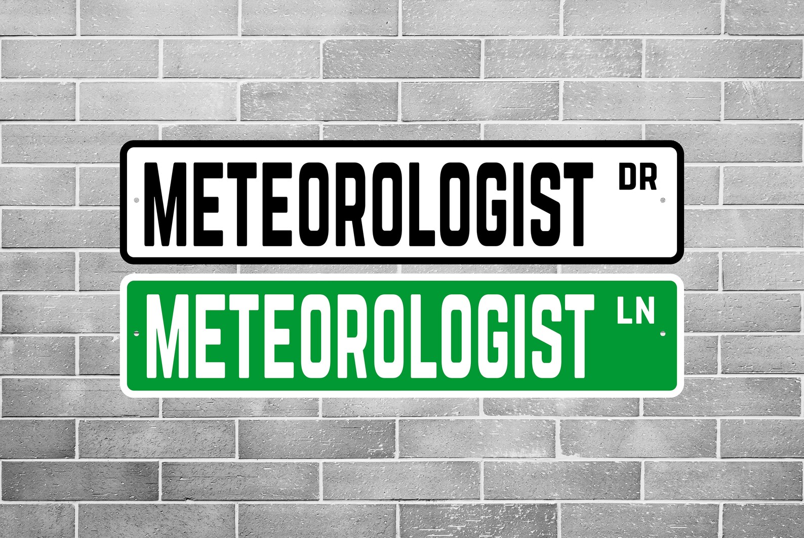 Meteorologist/meteorologist Sign/meteorologist Gift/custom Street Sign ...