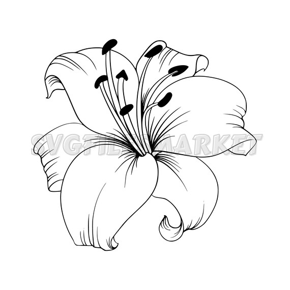 Lily SVG Vector Graphics Easy to Use. Perfect for Your | Etsy
