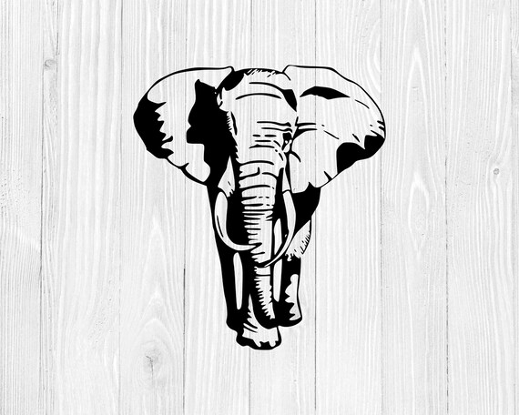 Elephant SVG. Elephant Clipart. Elephant SVG Files for Cricut. | Etsy