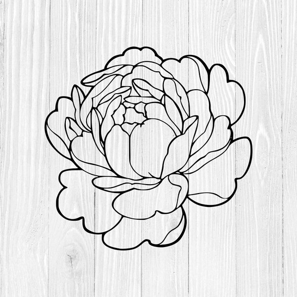 Peony Svg - Etsy