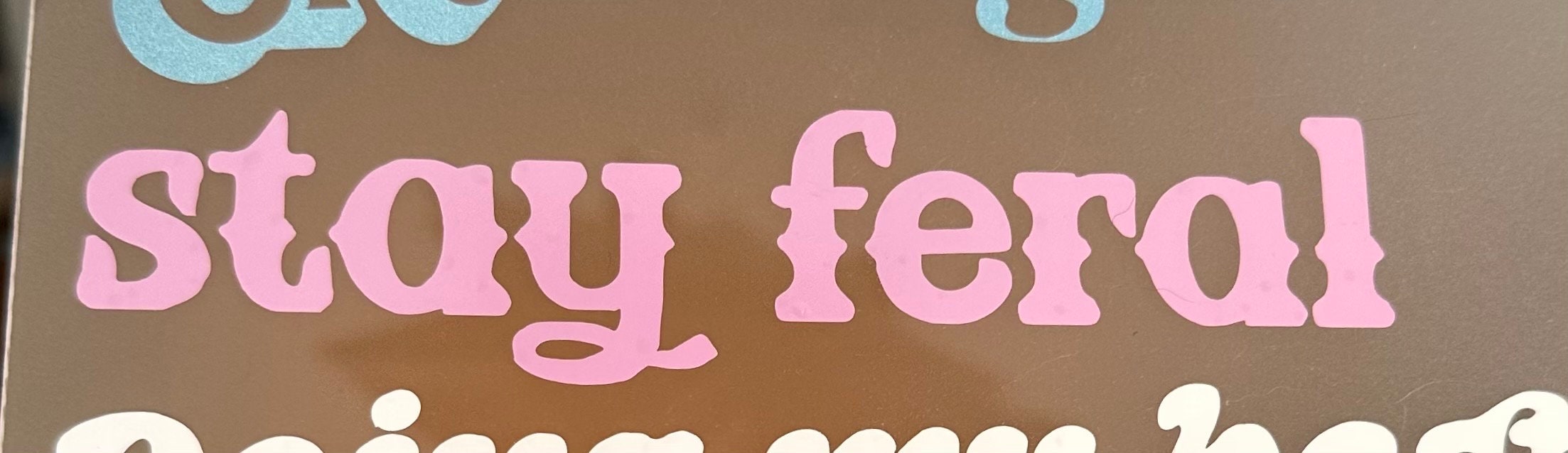 Stay Feral Car Decal - Etsy