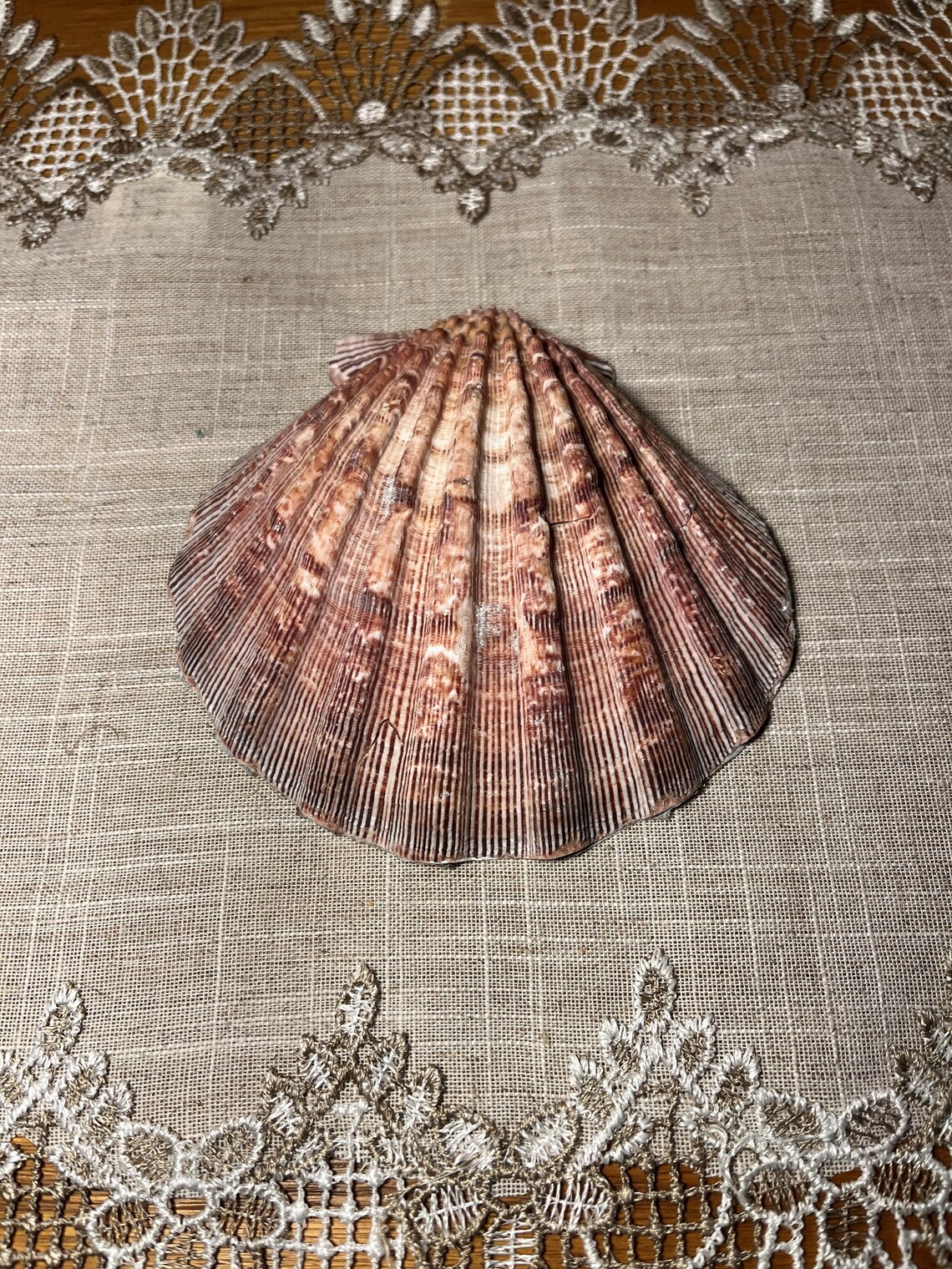 Clam Shell Dish Decoupage Clam Shell Ring Dish Stay - Etsy