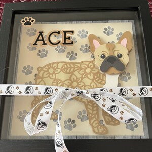 Shadow Box for Dog Pet Keepsake Shadowbox With - Etsy