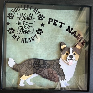 Shadow Box for Dog Pet Keepsake Shadowbox With - Etsy
