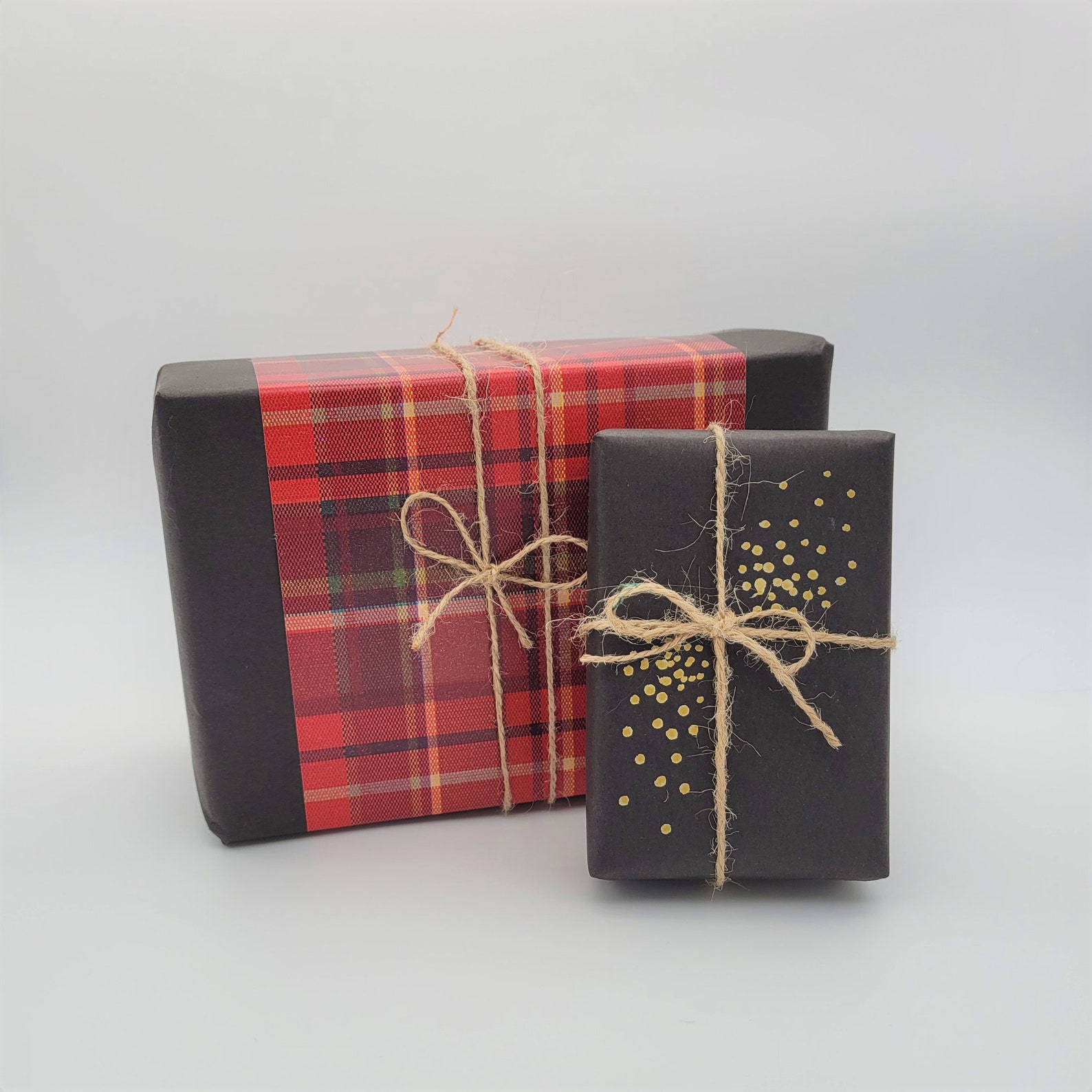 Real Beetle/insect Specimen / Cloche Jar Insect Display - Etsy