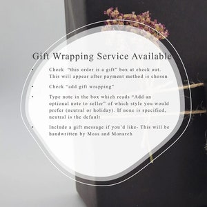 Real Beetle/insect Specimen / Cloche Jar Insect Display Specimen ...