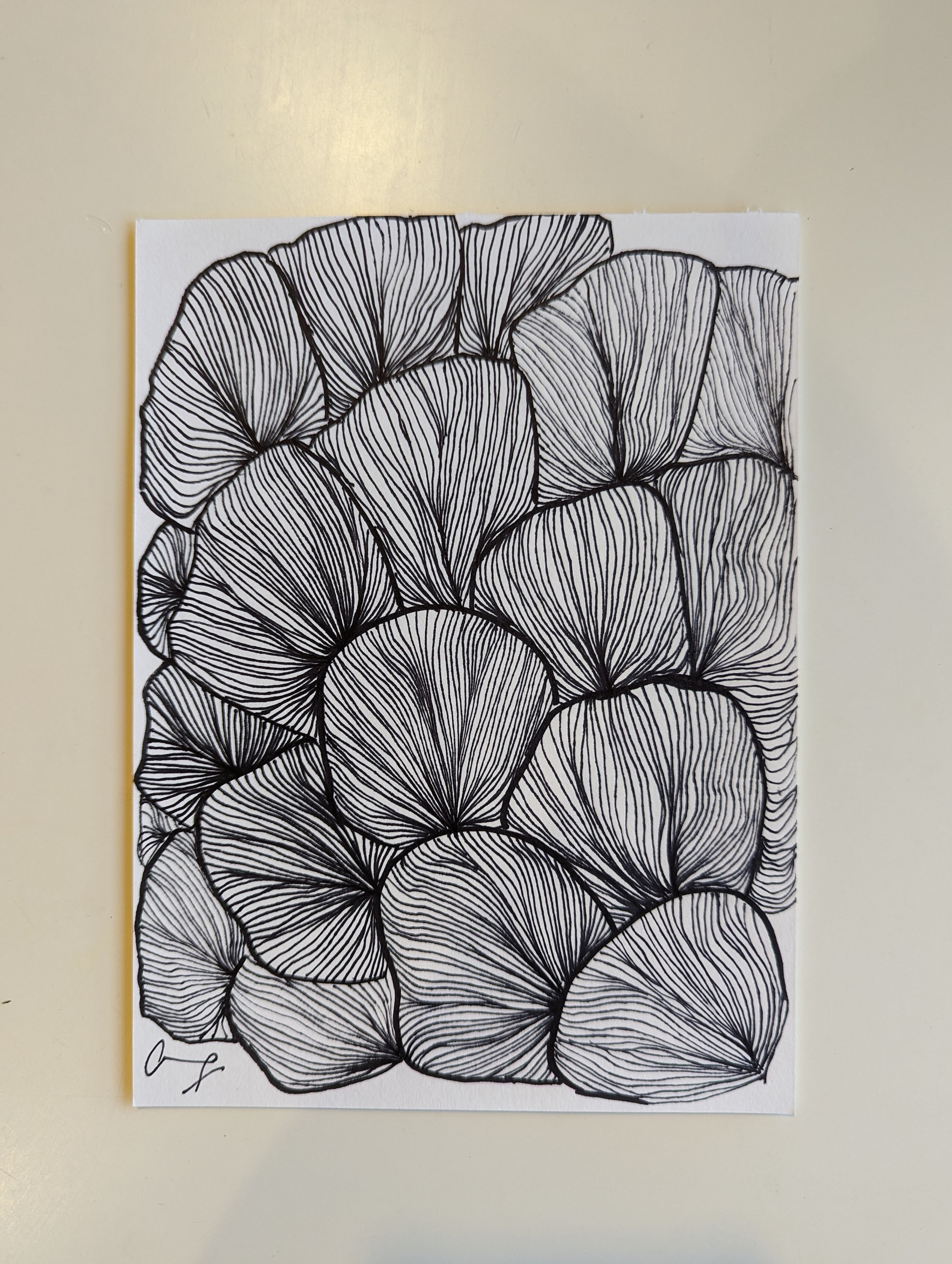 Floral Petal Line Art - Etsy