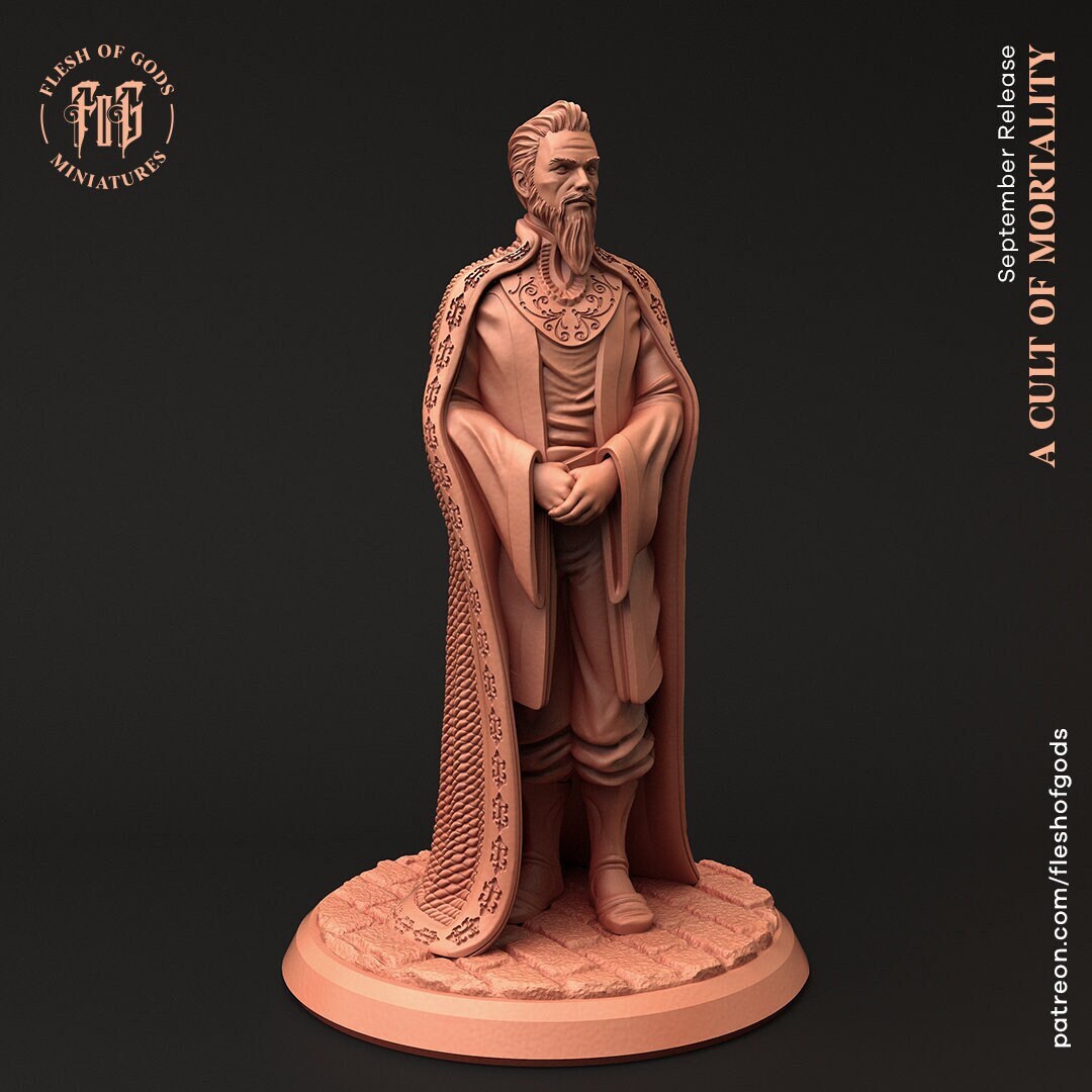 Counsellor Official Hero NPC Miniature by Flesh of Gods Dungeons and ...
