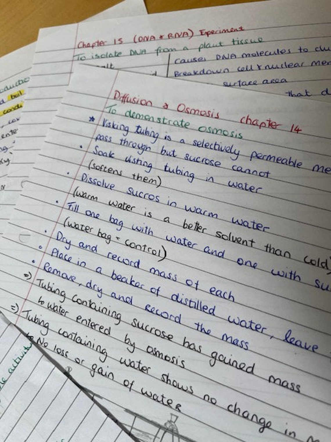 Leaving Cert Biology Experiments - Steps and Explanation Summary - Etsy