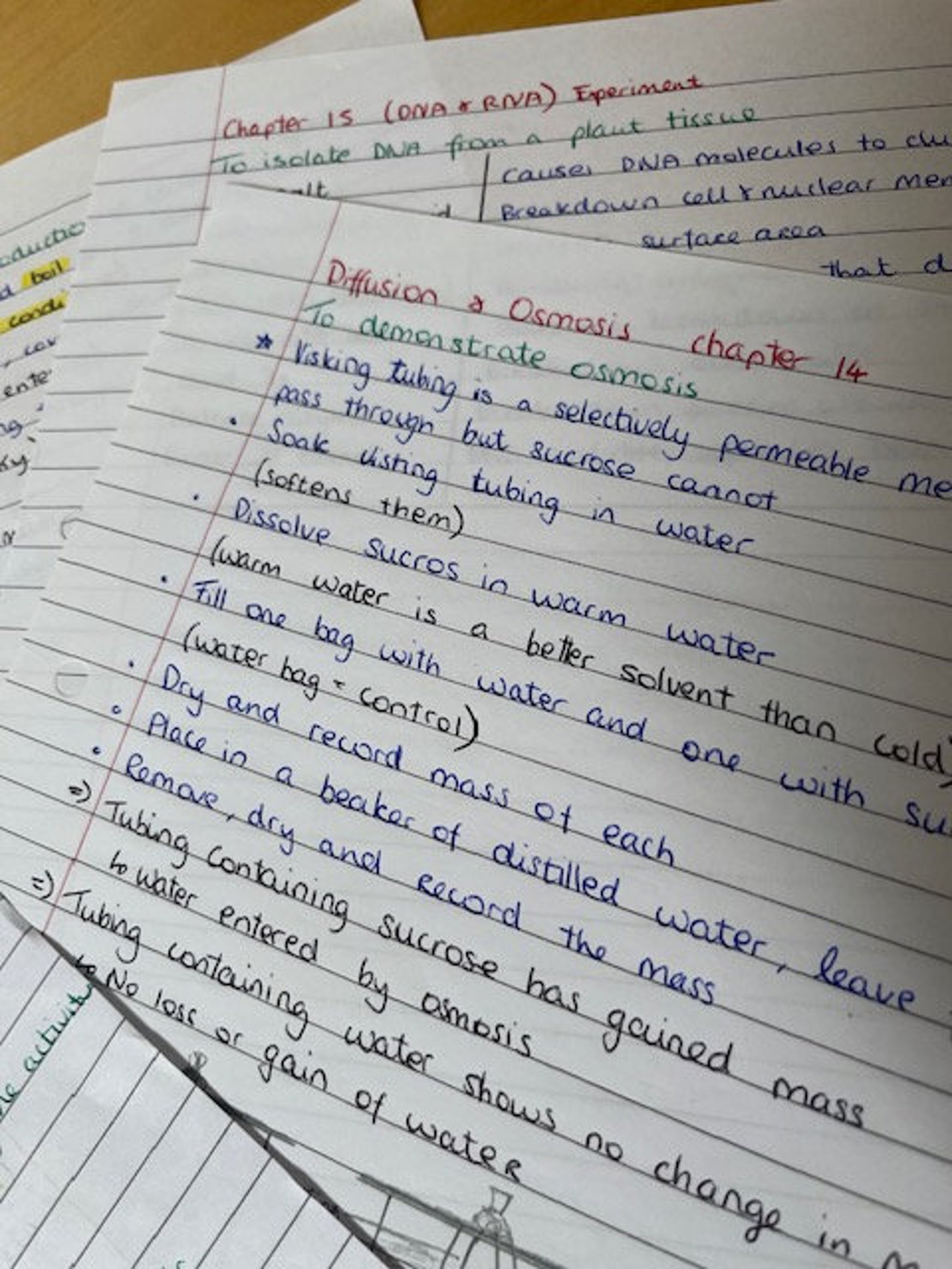 Leaving Cert Biology Experiments - Steps and Explanation Summary - Etsy