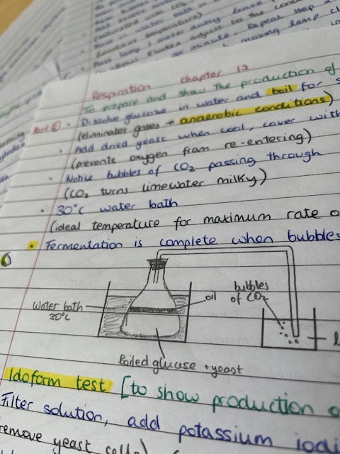Leaving Cert Biology Experiments Steps And Explanation Summary Etsy