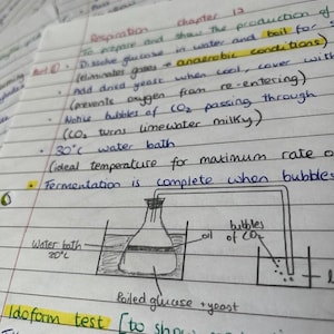 Leaving Cert Biology Experiments - Steps and Explanation Summary - Etsy