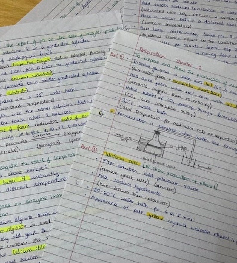 Leaving Cert Biology Experiments - Steps and Explanation Summary - Etsy