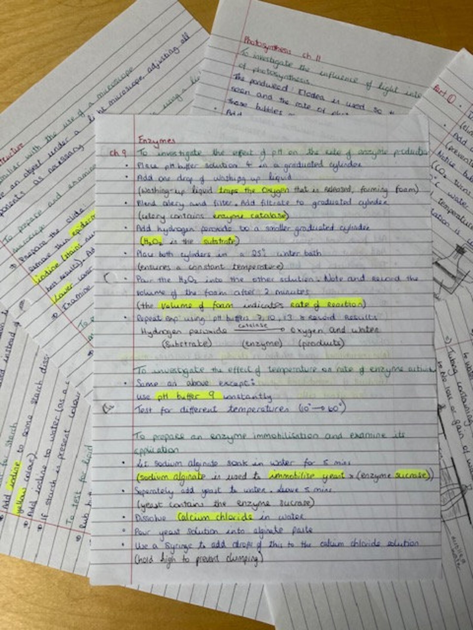 Leaving Cert Biology Experiments - Steps and Explanation Summary - Etsy