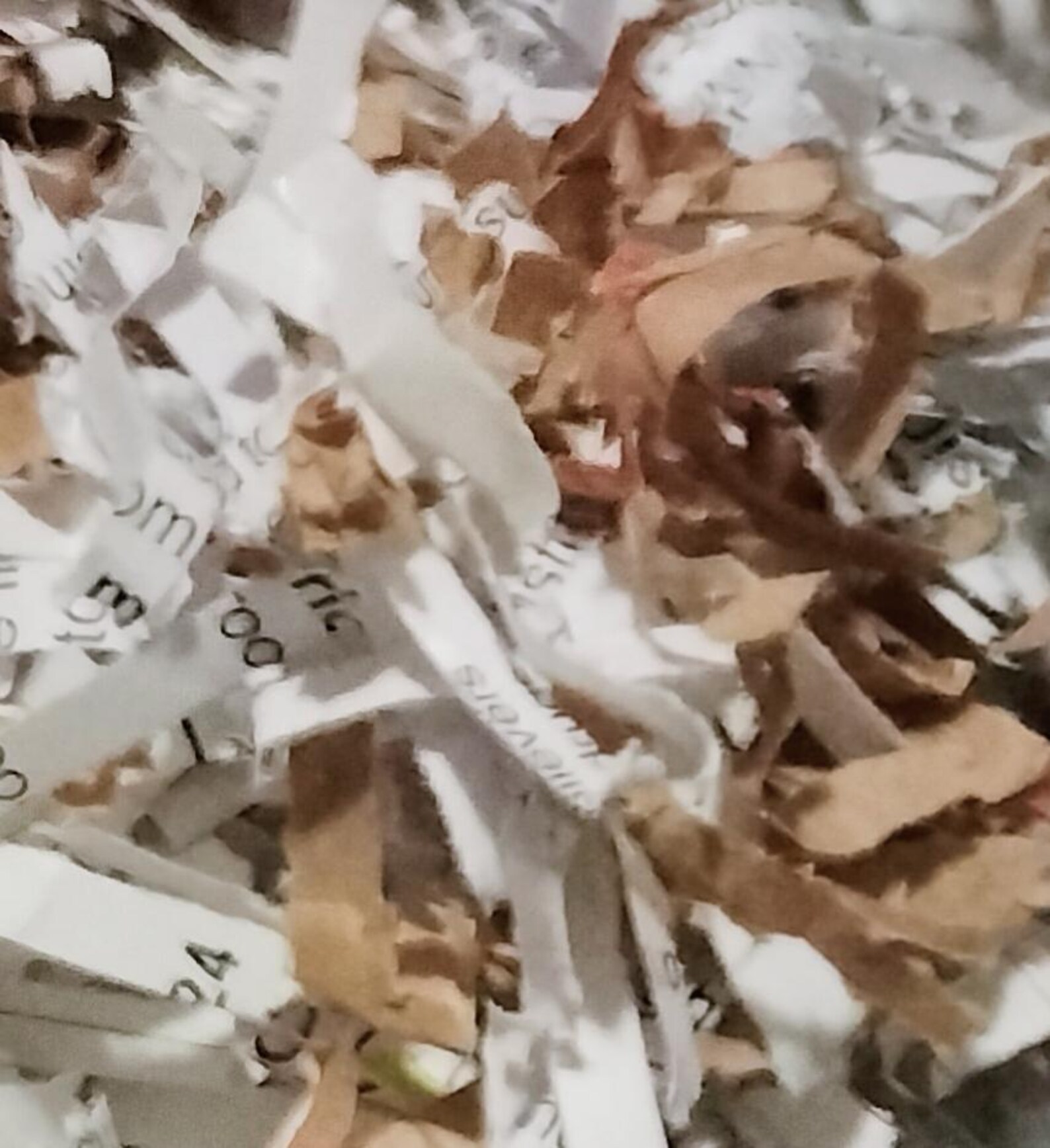 Pinata Filler, Shredded Paper Filling, Fiesta Confetti Shreds ...