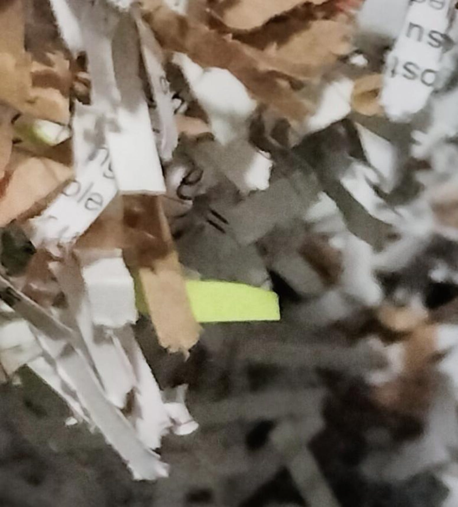 Pinata Filler, Shredded Paper Filling, Fiesta Confetti Shreds ...