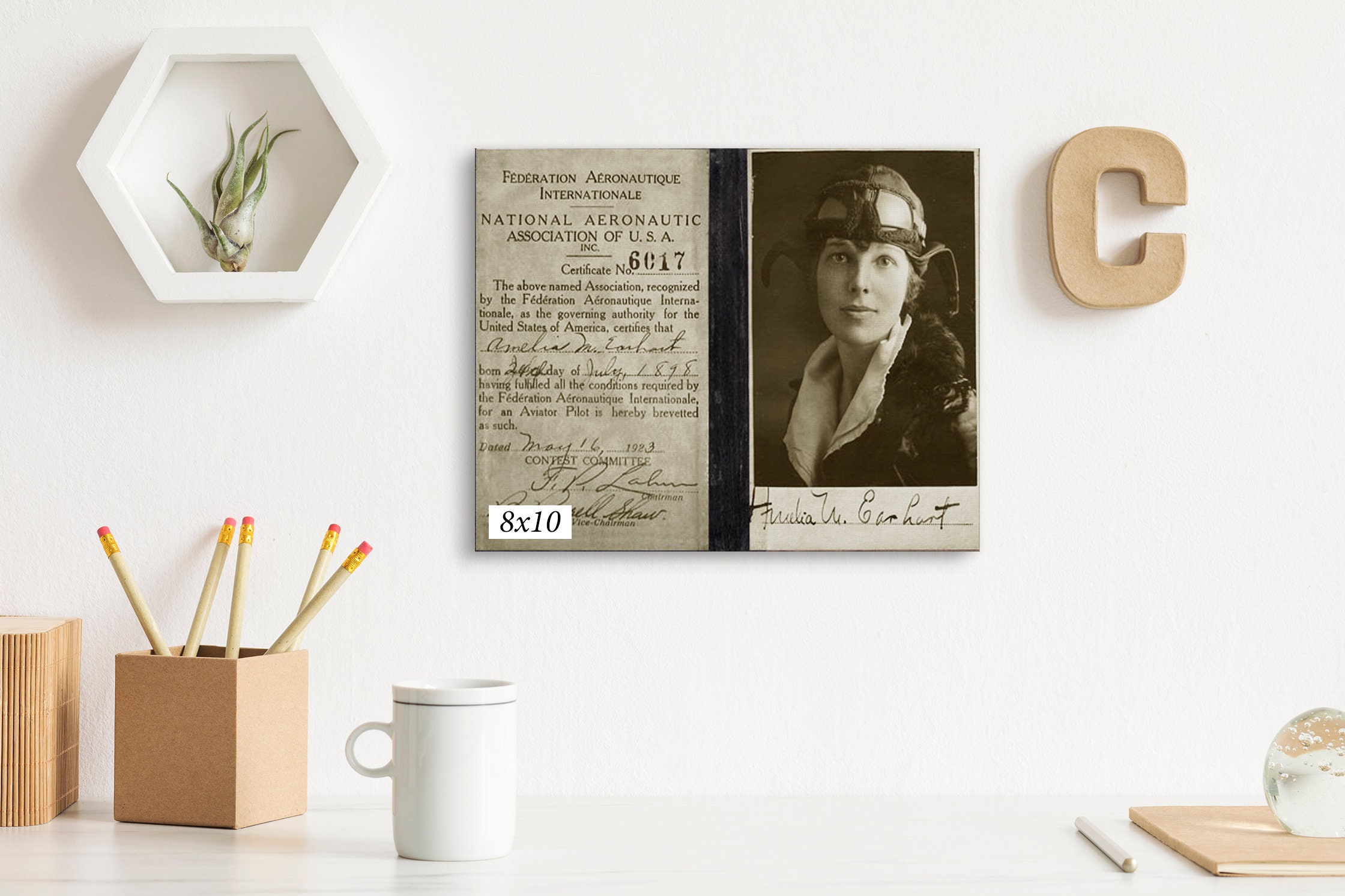 Amelia Earhart Pilot's License Autograph Aviation Pioneer - Etsy