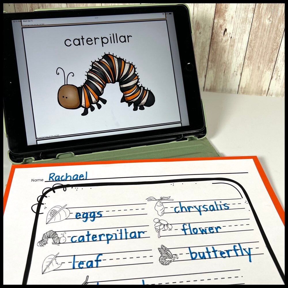 Butterfly Life Cycle Writing Activities for Kindergarten - Etsy