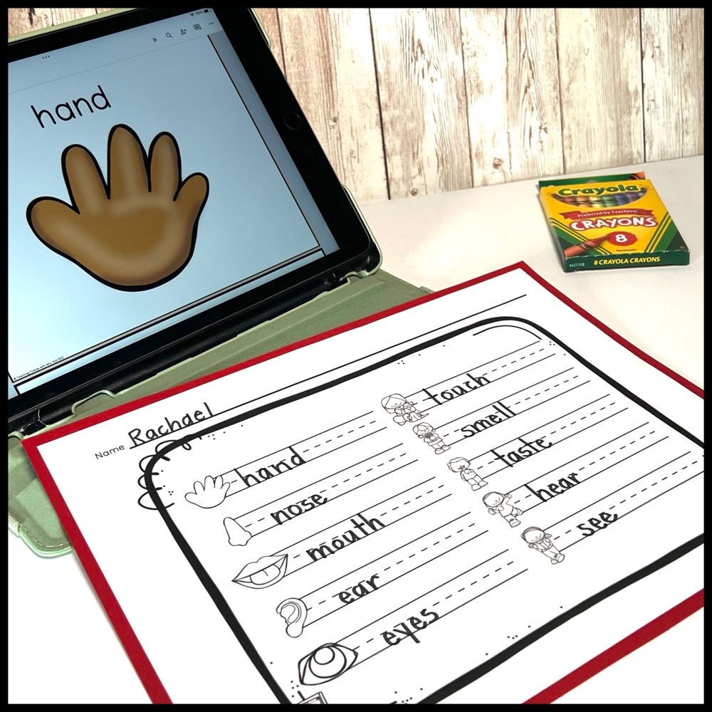 Five Senses Writing Activities - Etsy