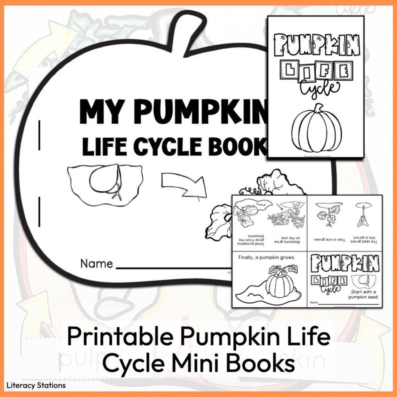 Pumpkin Life Cycle Activities for 1st Grade - Etsy