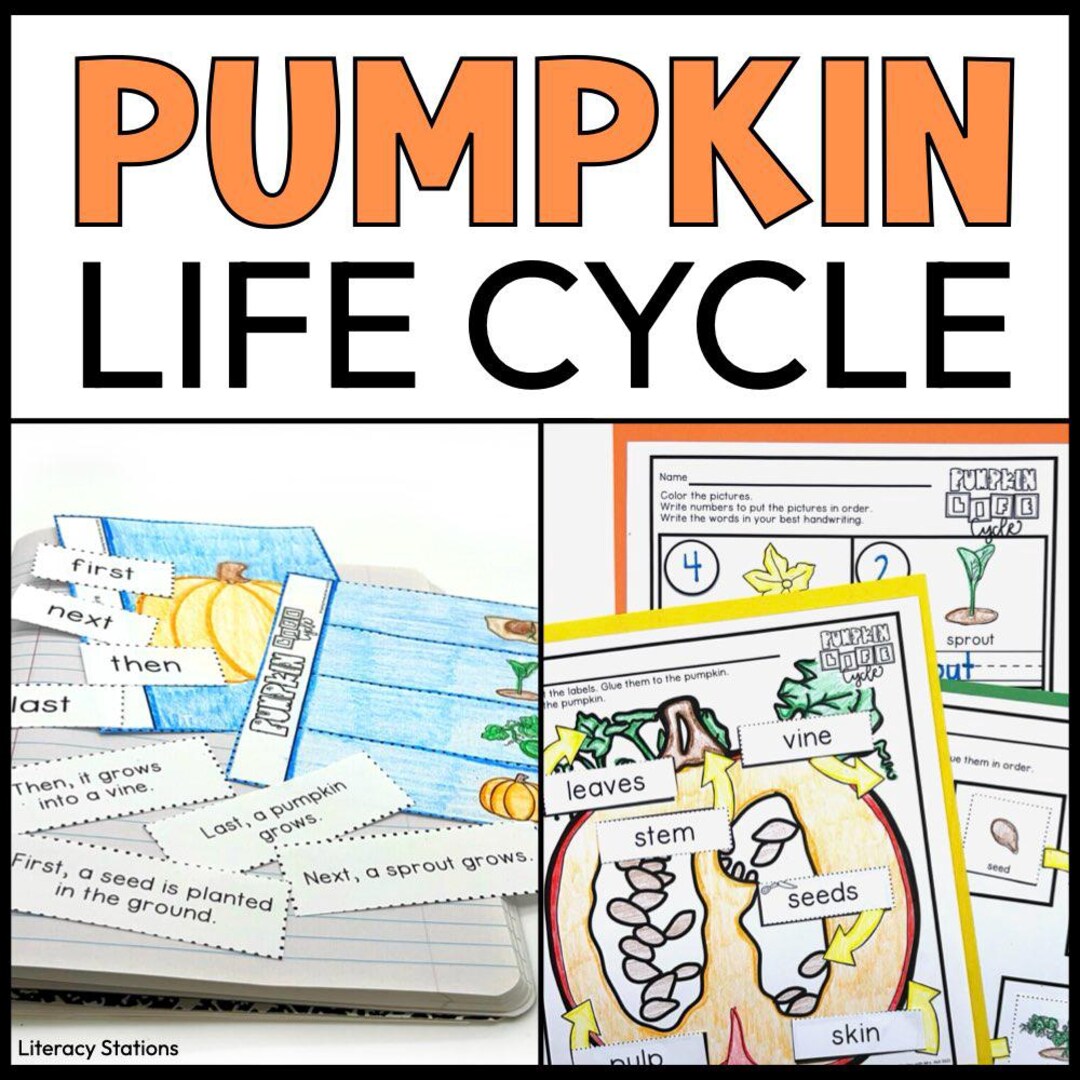 Pumpkin Life Cycle Activities for 1st Grade - Etsy